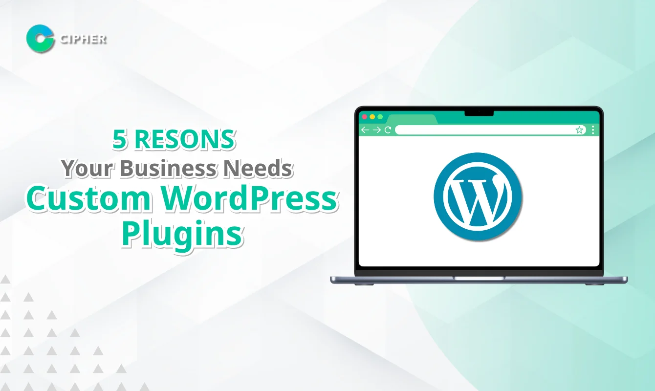 5 Reasons Your Business Needs Custom WordPress Plugins