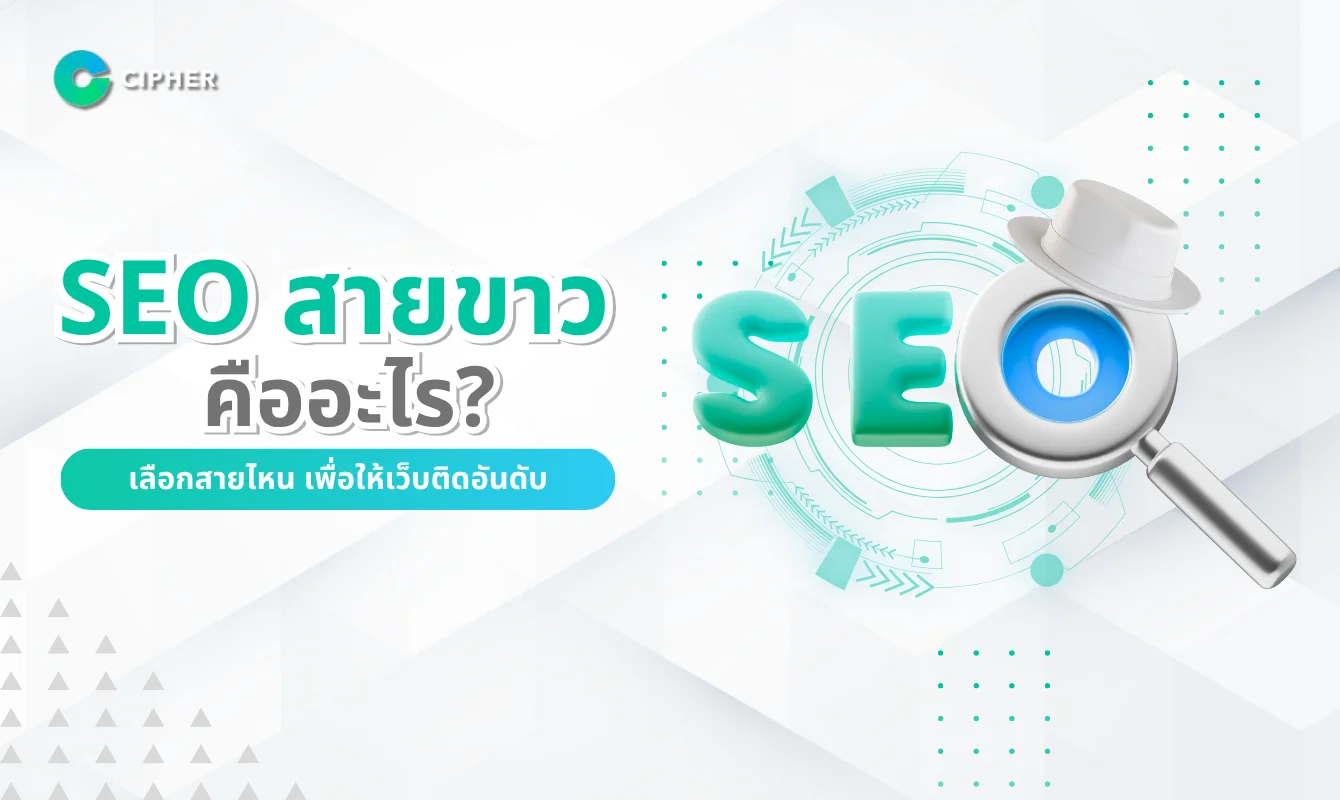 SEO สายขาวคืออะไร? เลือกสายไหนเพื่อให้เว็บติดอันดับ?